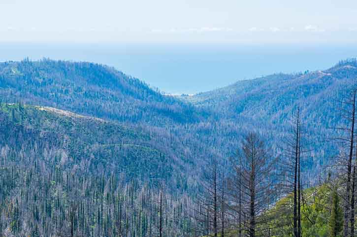 Big Basin Redwoods State Park
