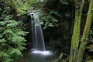 Sempervirens Falls