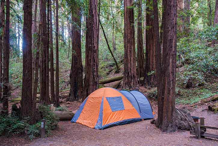 Butano State Park Camping Search For The Ghost Airfield Of Butano
