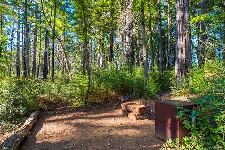 Butano Trail Camp