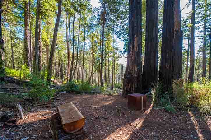 Butano Trail Camp