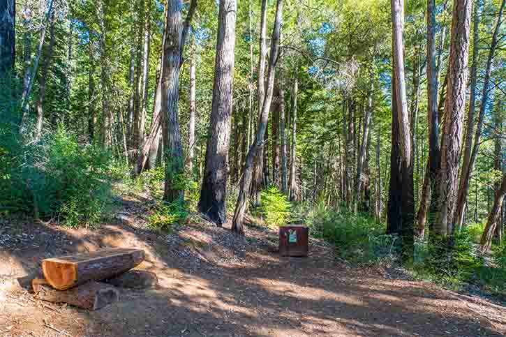 Butano Trail Camp
