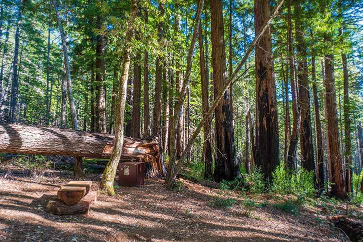 Butano Trail Camp