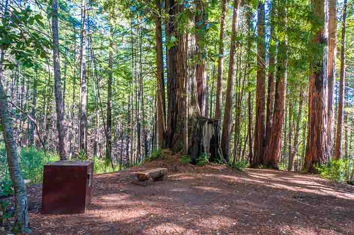 Butano Trail Camp