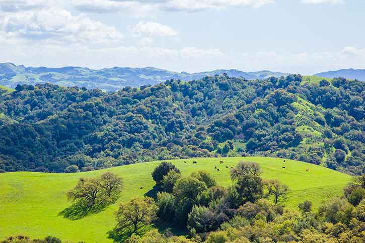 Briones Regional Park