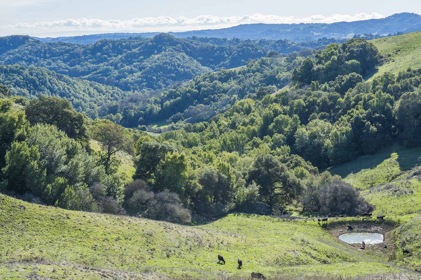 Briones Regional Park