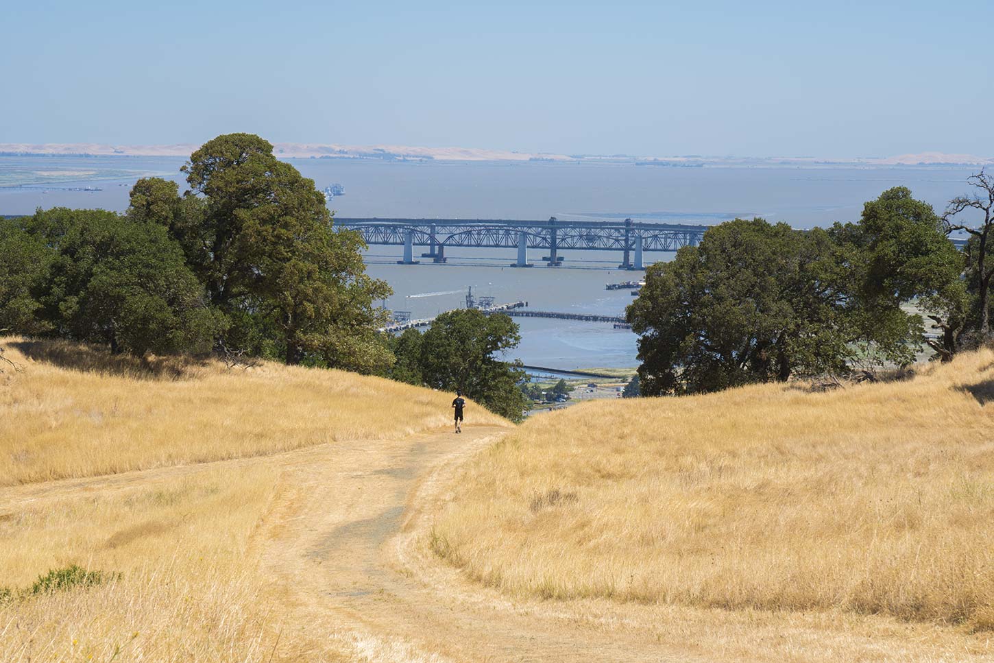 Carquinez Strait Regional Shoreline