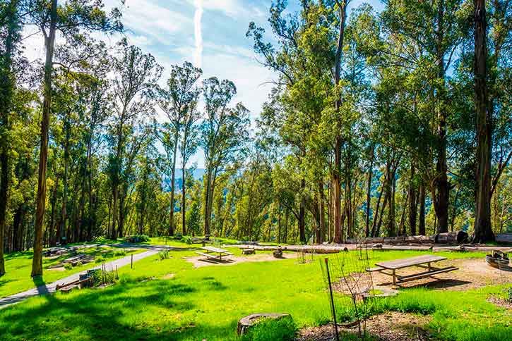 Anthony Chabot Family Campground