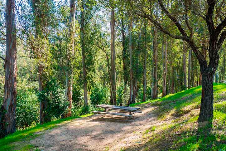 Anthony Chabot Family Campground