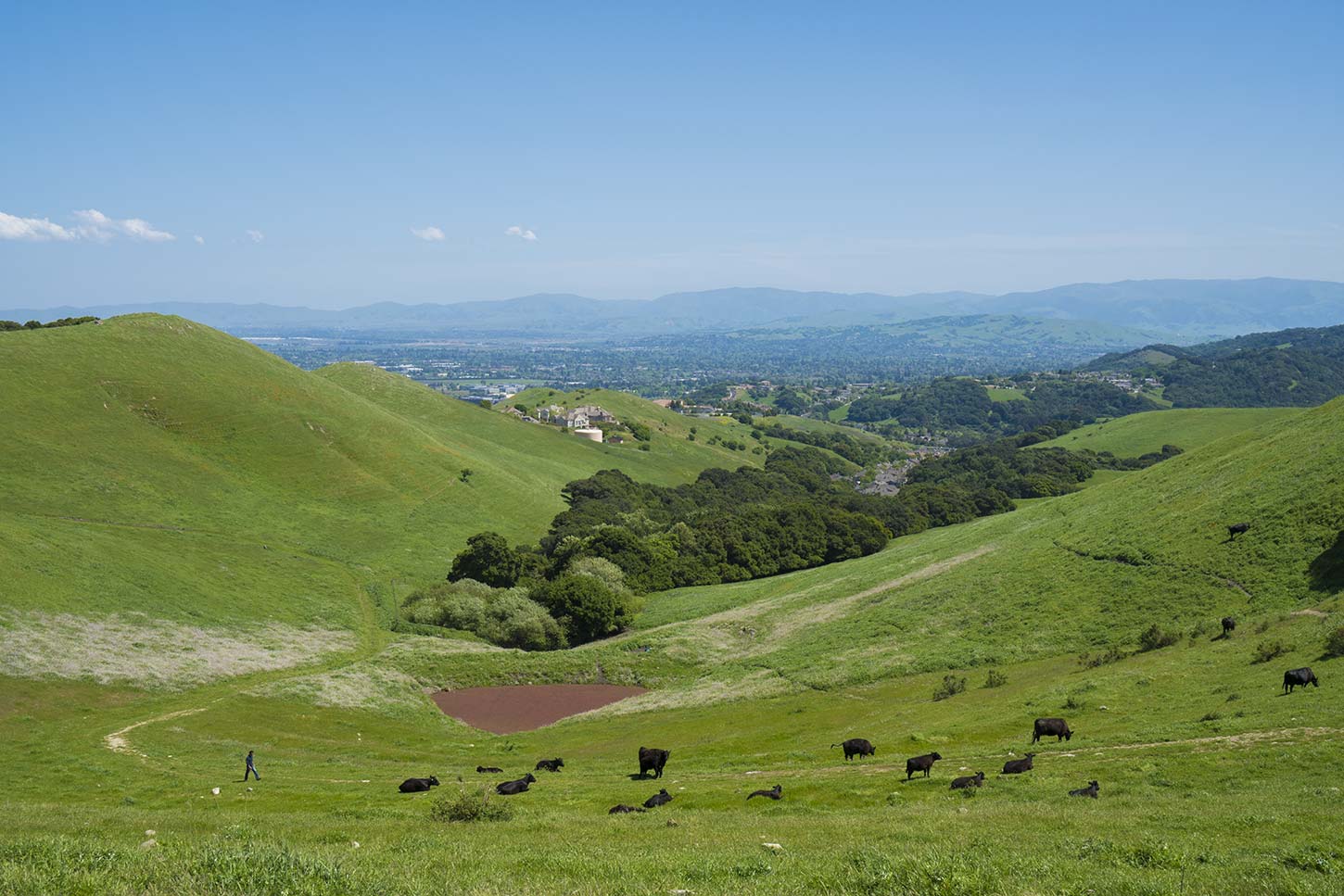Dublin Hills Regional Park