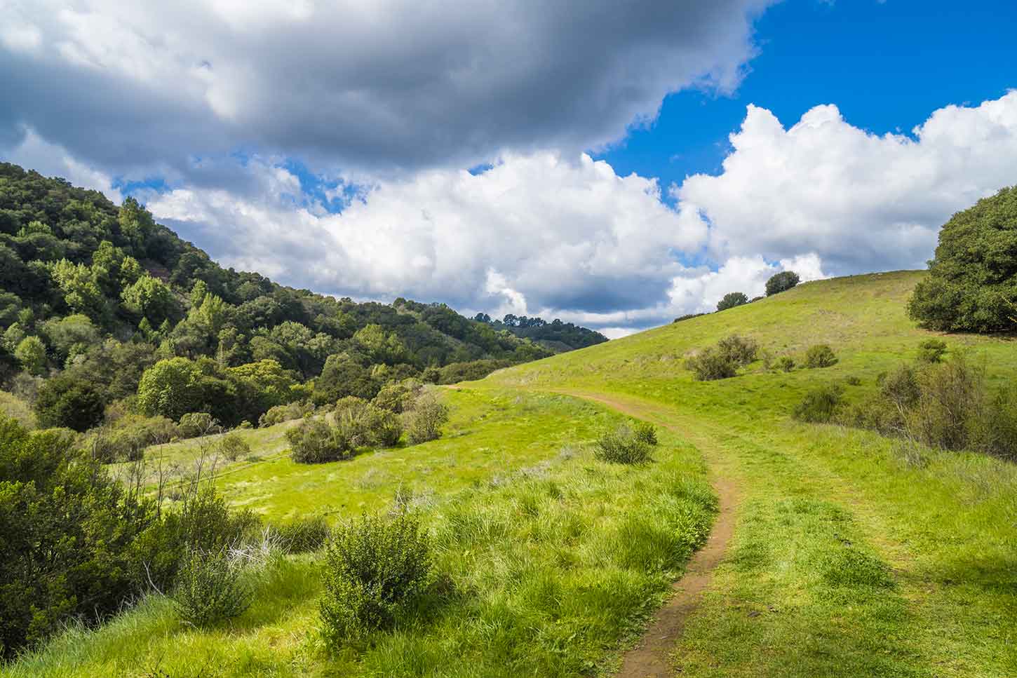 Things To Do In Grass Valley Asking List