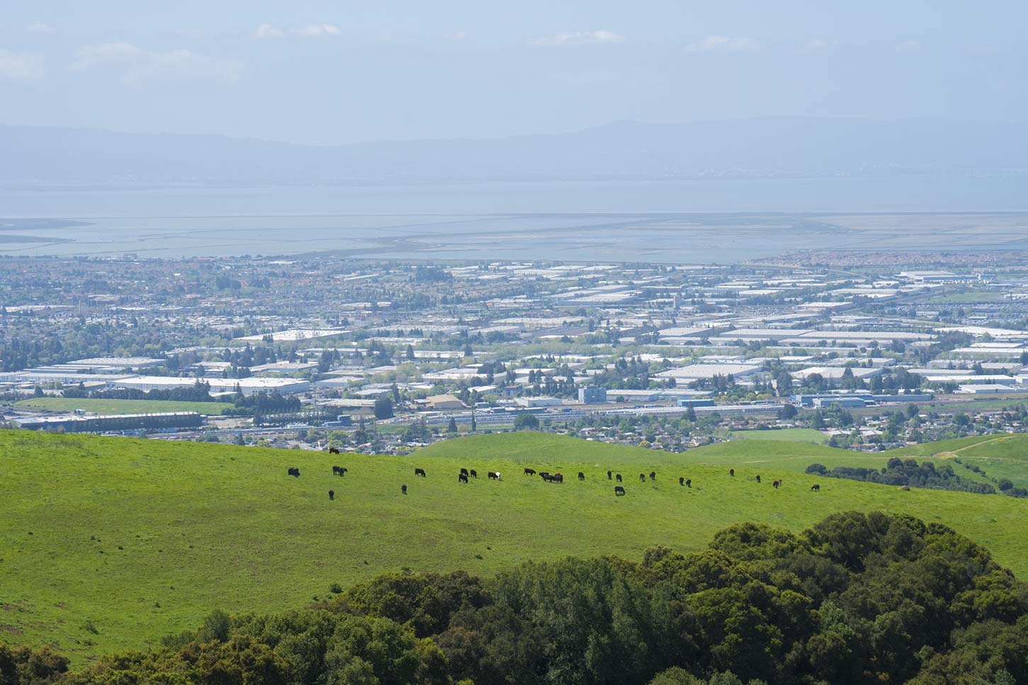 The High Ridge Loop Trail