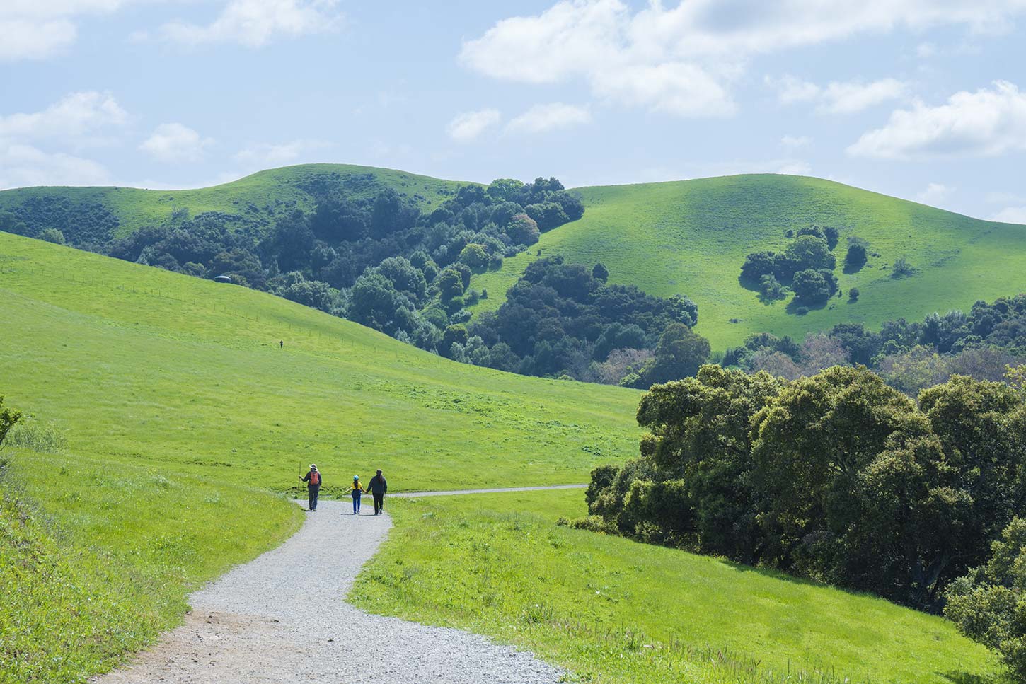 The High Ridge Loop Trail