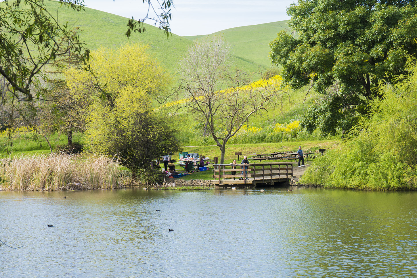 The High Ridge Loop Trail