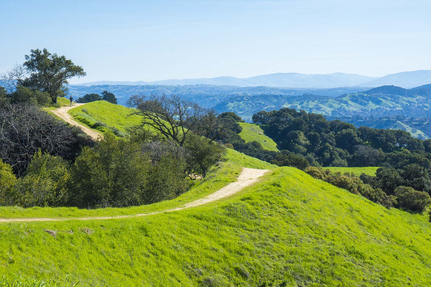 The Lafayette Ridge Trail