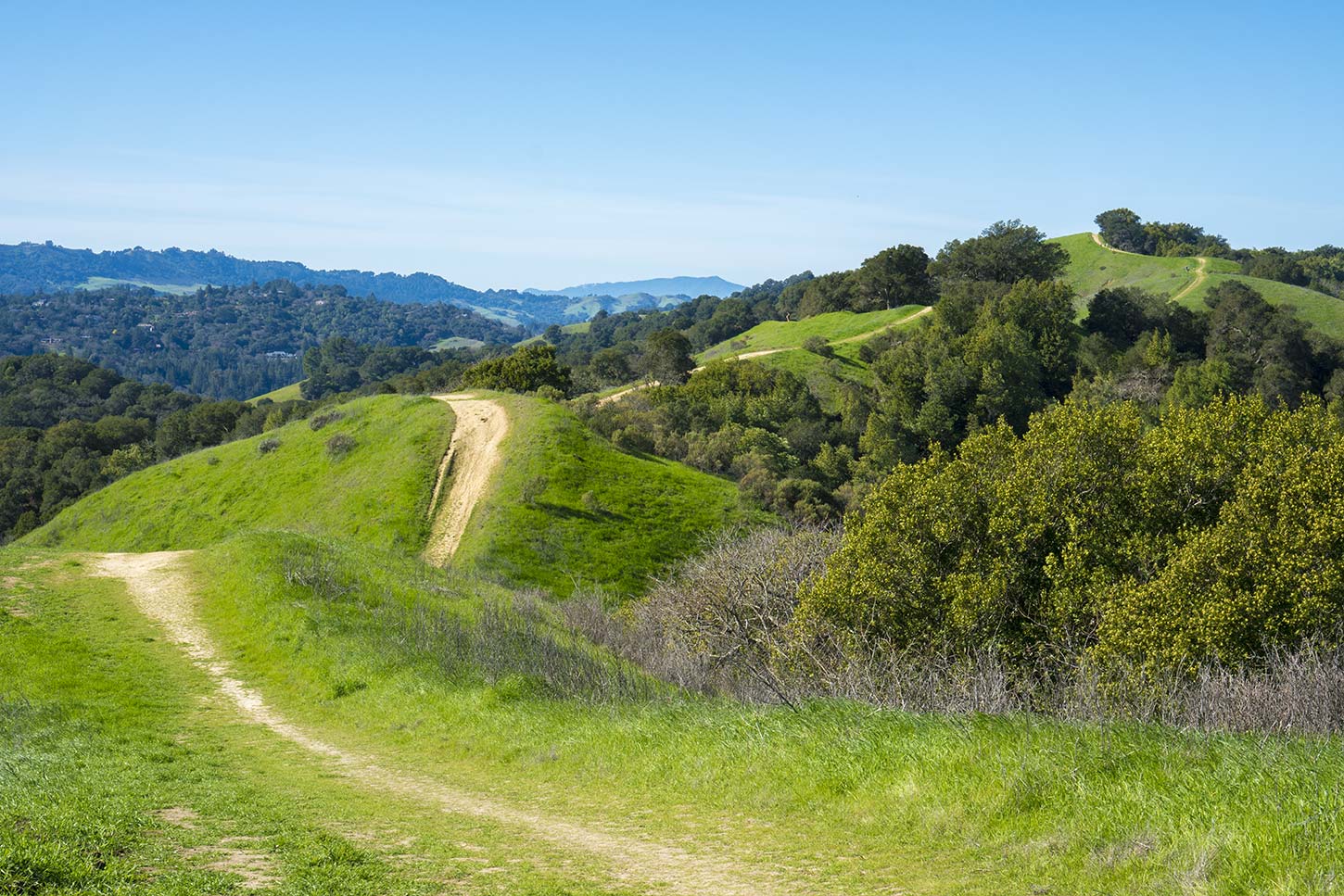 The Lafayette Ridge Trail