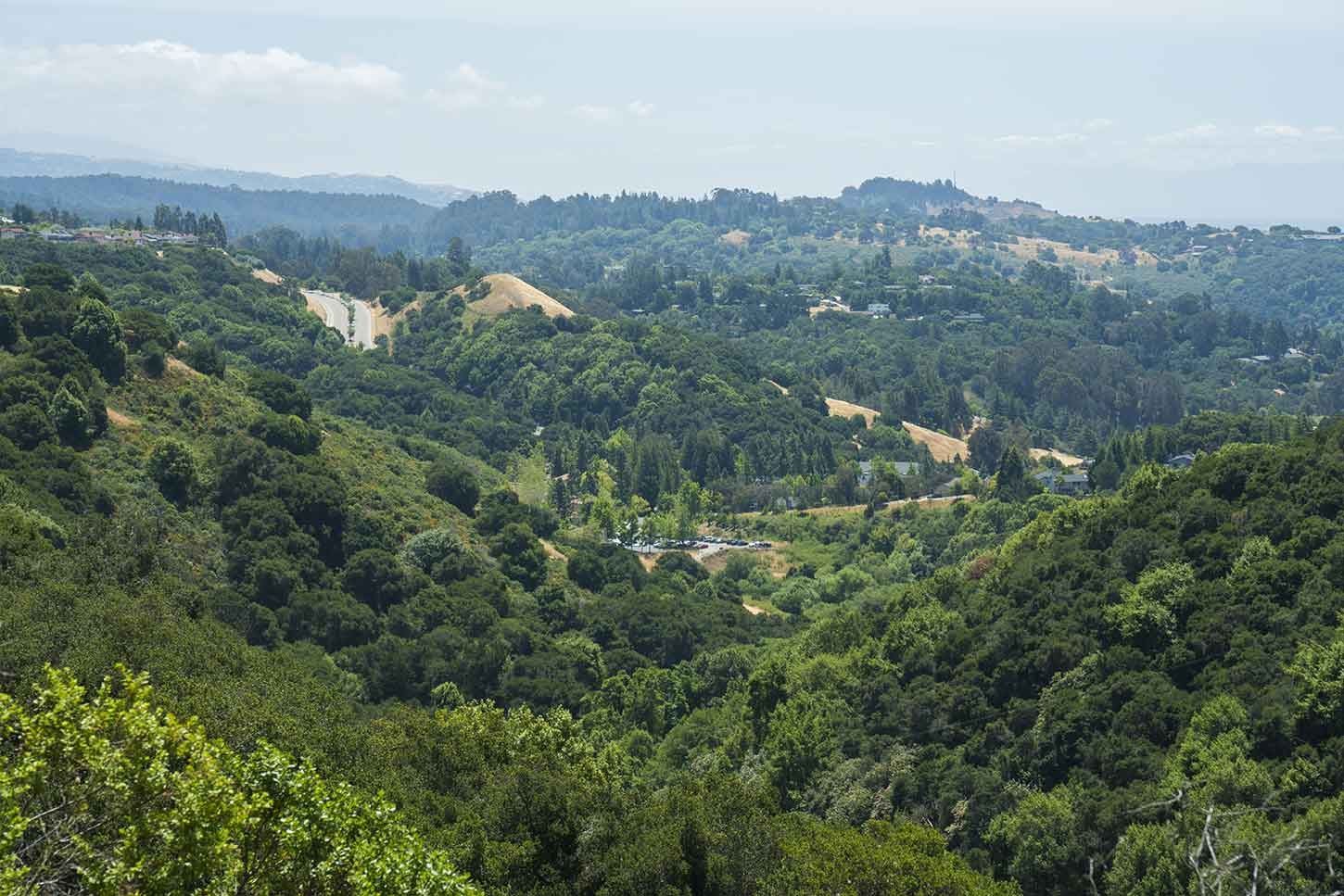Leona Canyon Open Space Regional Preserve