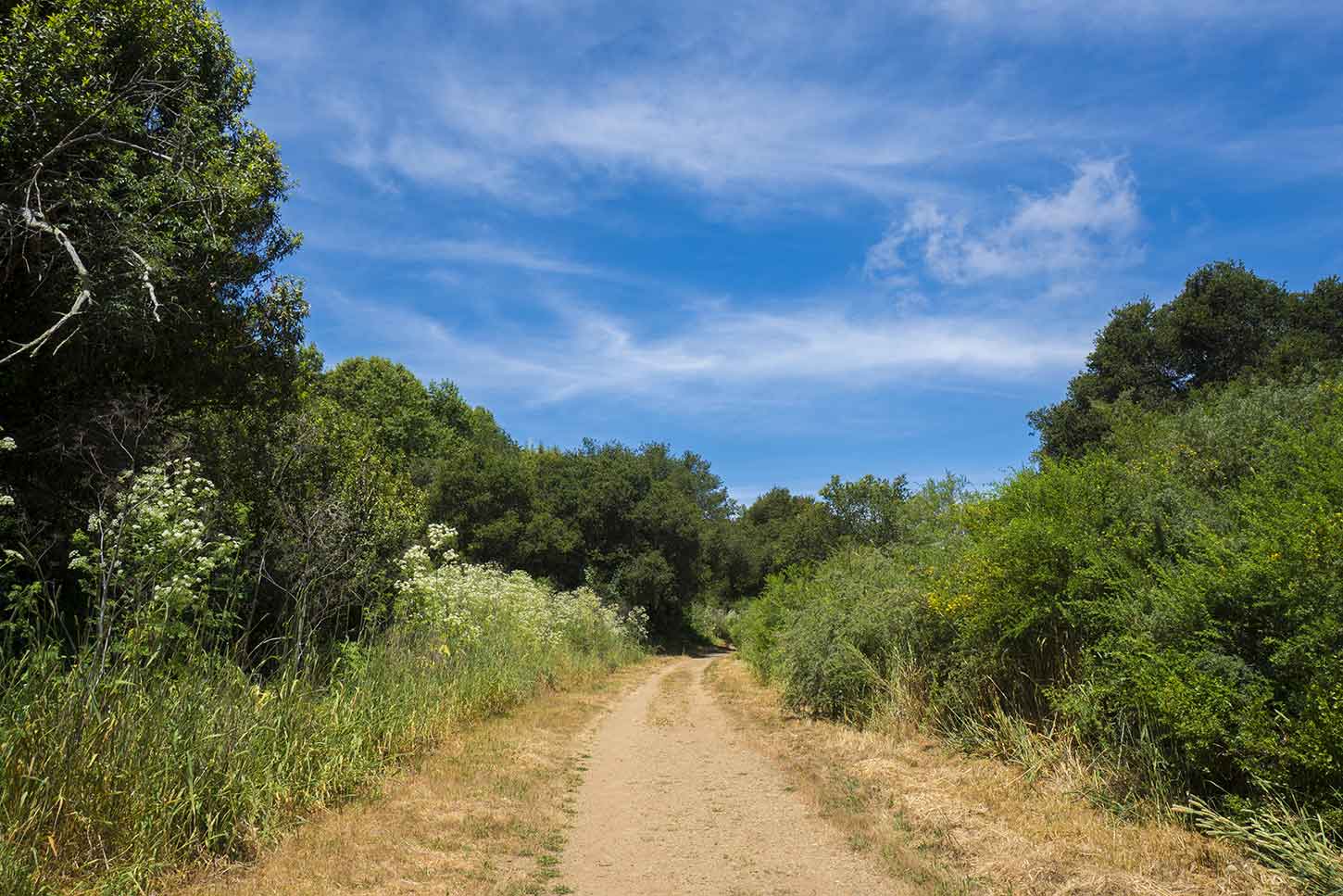 Leona Canyon Open Space Regional Preserve