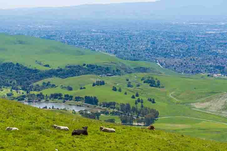 Ed R. Levin County Park