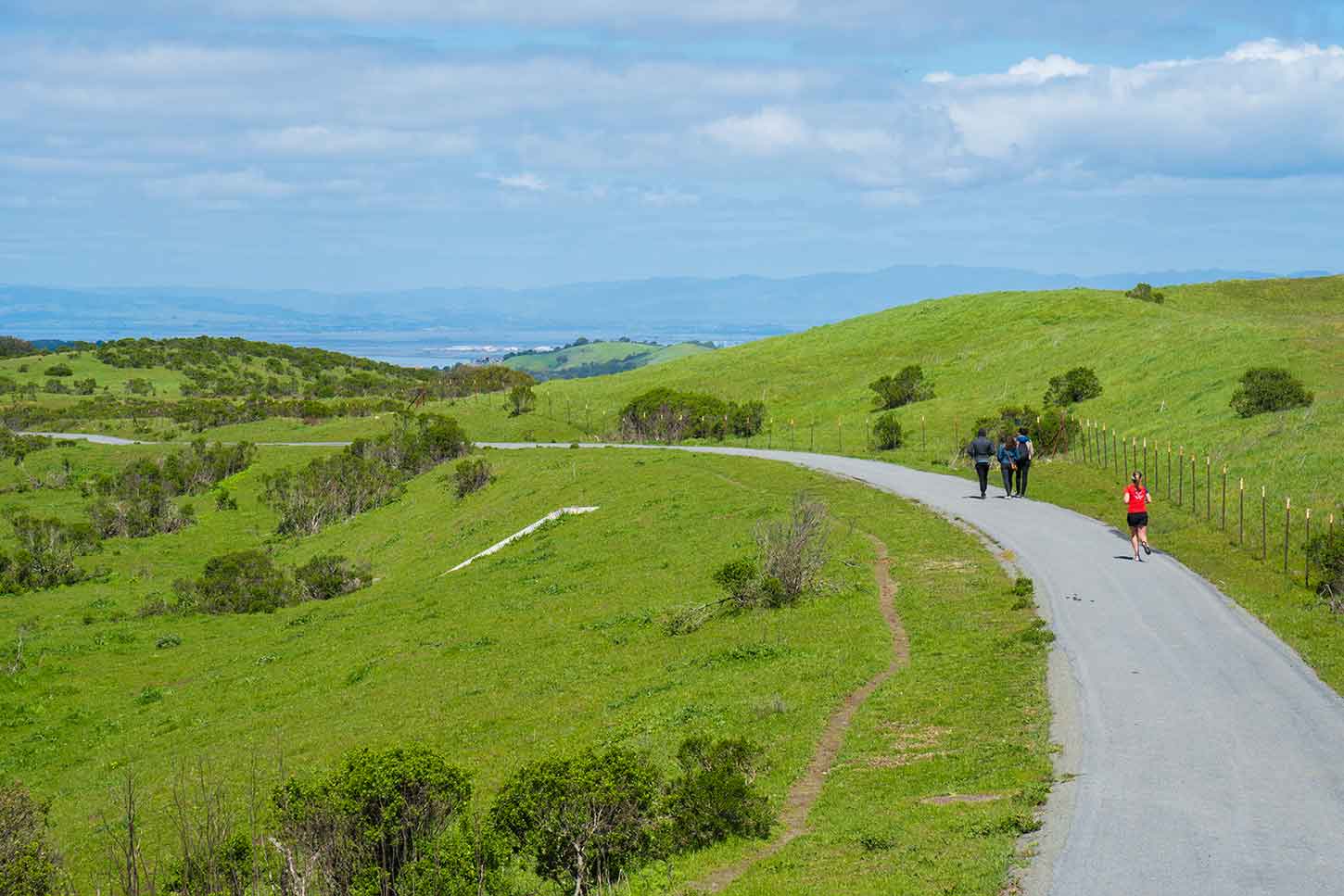 The Nimitz Trail