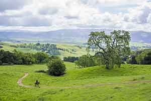 Pleasanton Ridge Regional Park