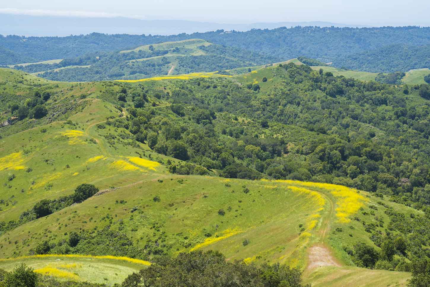 The Rocky Ridge Loop Trail
