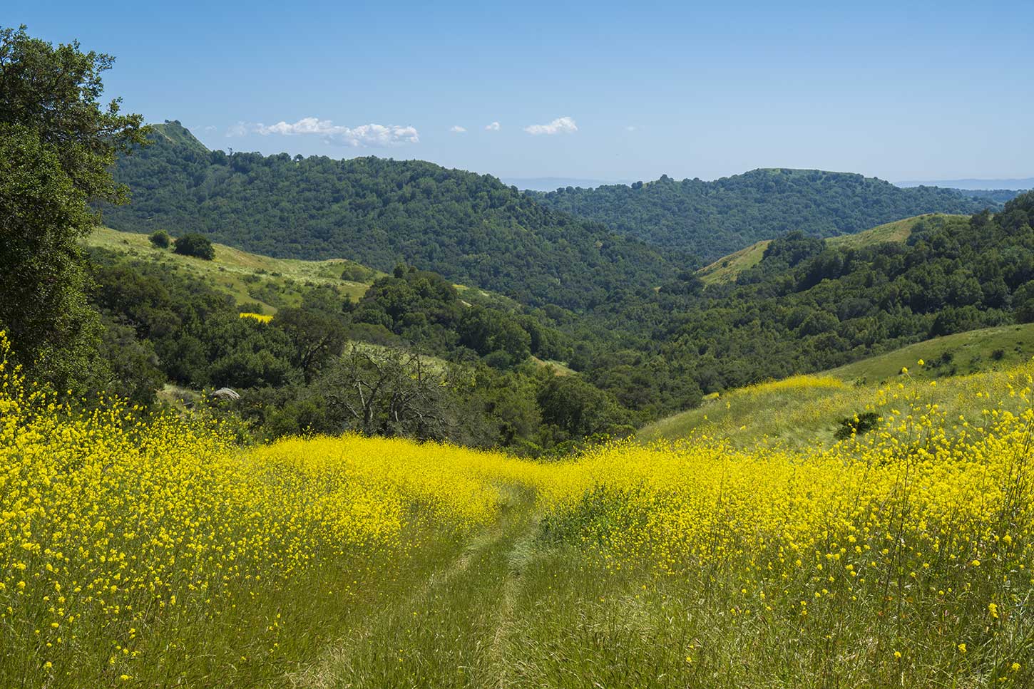 The Rocky Ridge Loop Trail