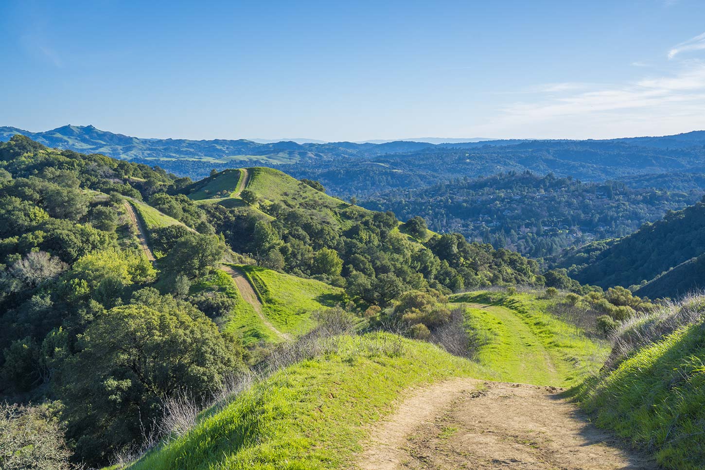 The Spengler Trail and Briones Crest