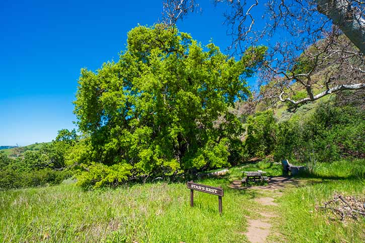 Sunol Backpack Camping Area