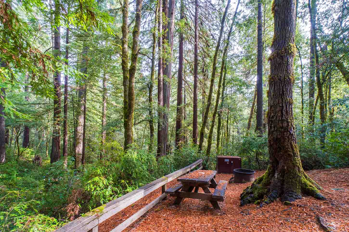 Hidden springs campground store