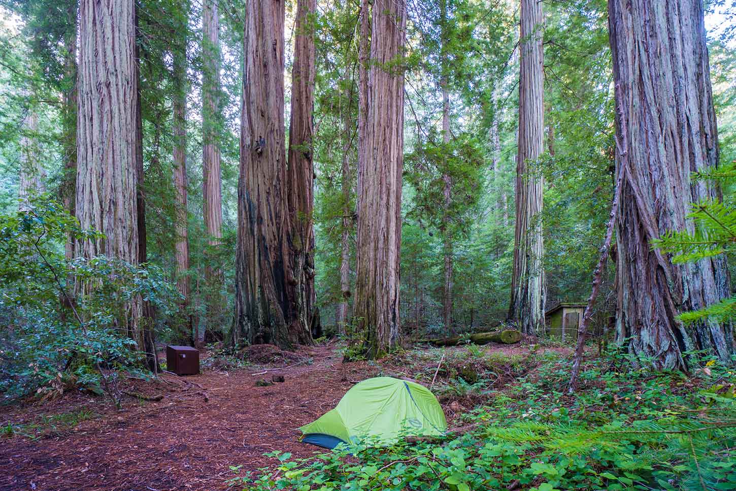 Whiskey Flat Trail Camp