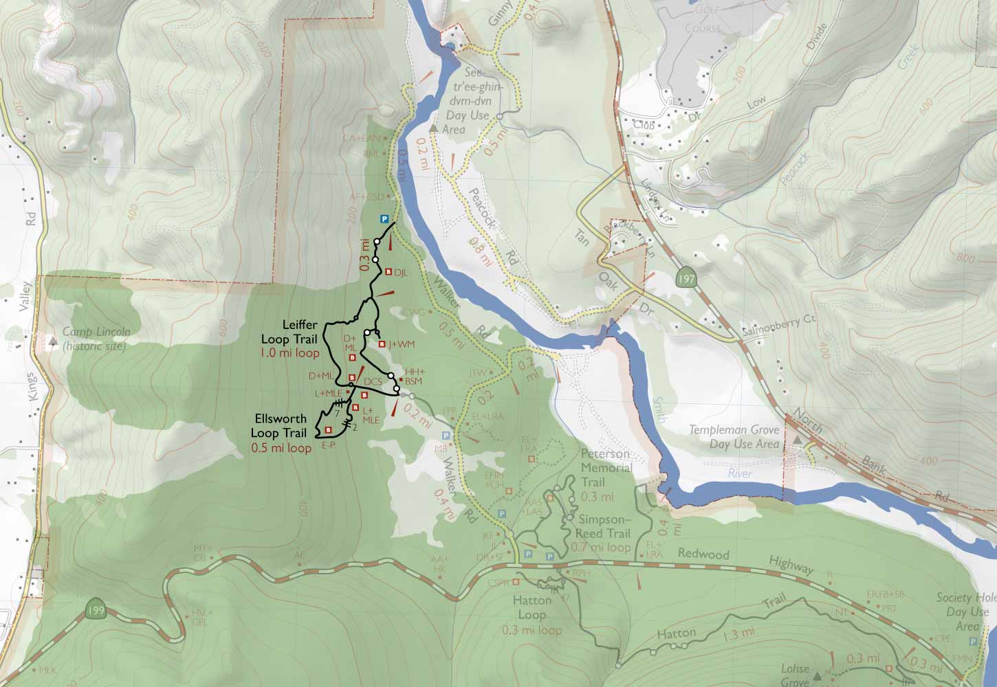 The Leiffer and Ellsworth Loops