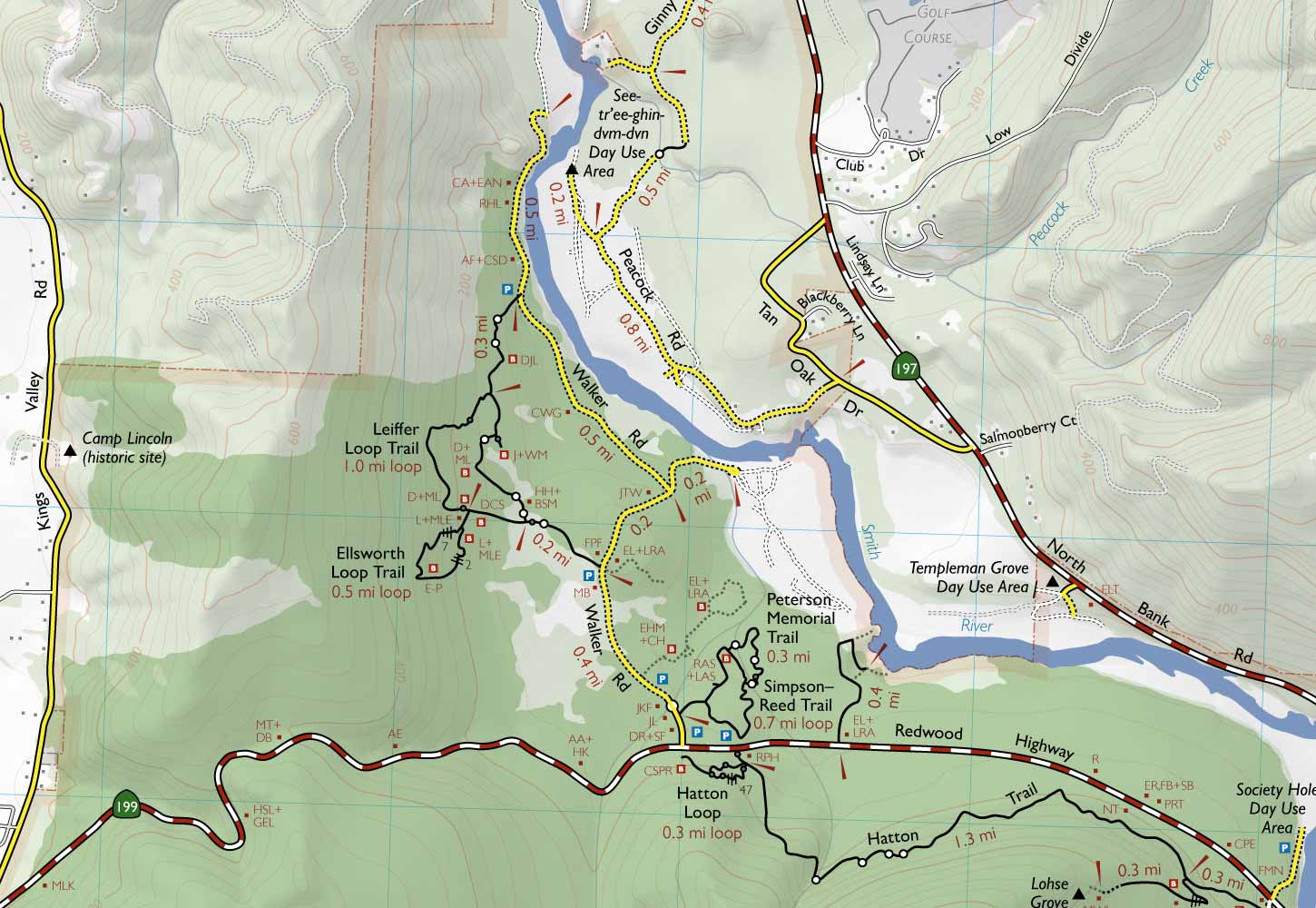The Leiffer and Ellsworth Loops
