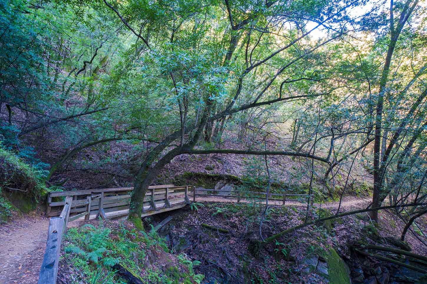 The Bay View and Shoreline Trails
