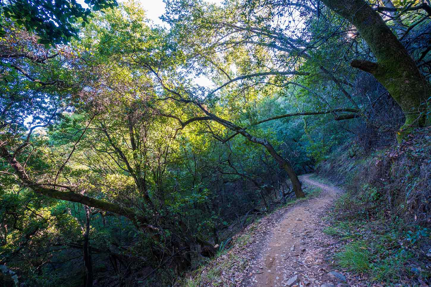 The Bay View and Shoreline Trails