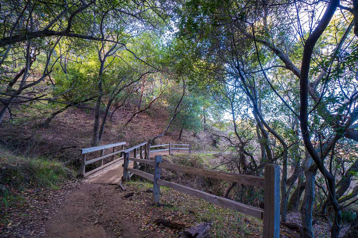 The Bay View and Shoreline Trails