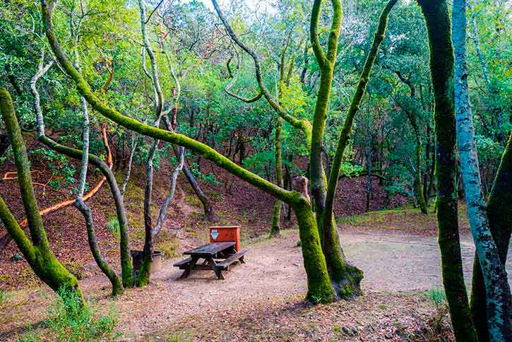 Back Ranch Meadows Campground