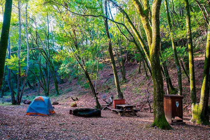 Back Ranch Meadows Campground