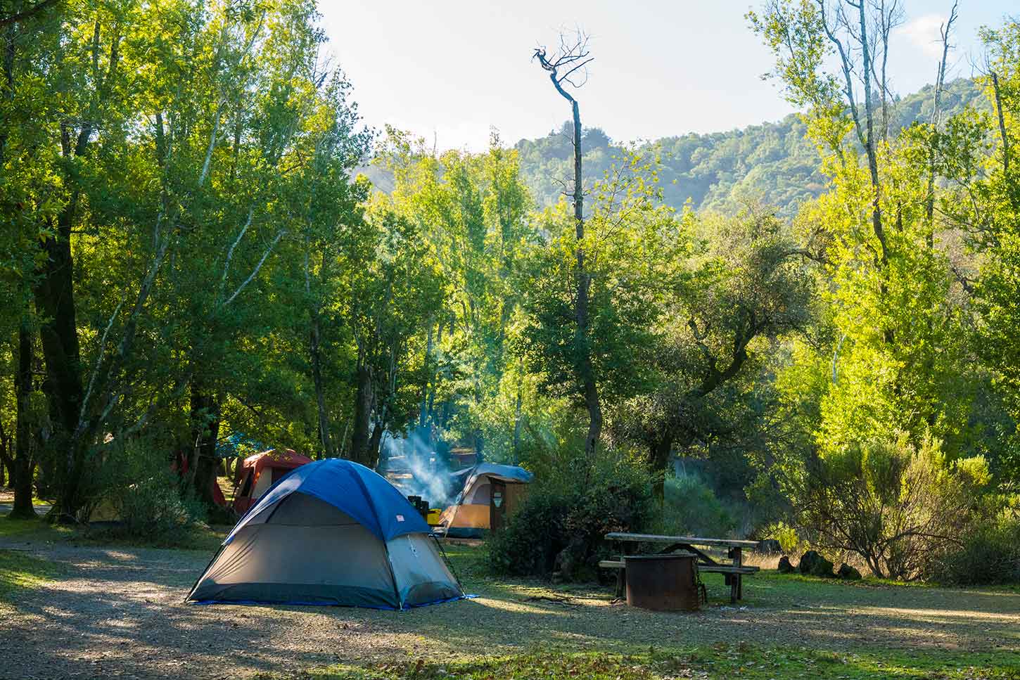 Back Ranch Meadows Campground
