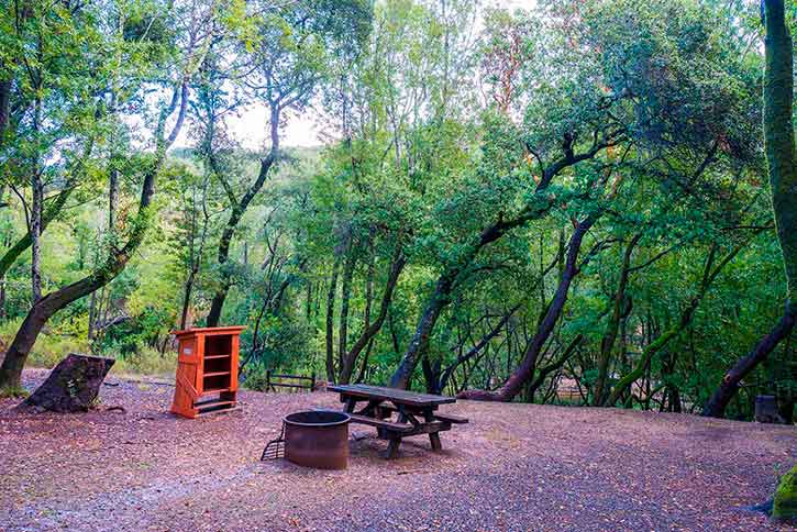 Back Ranch Meadows Campground