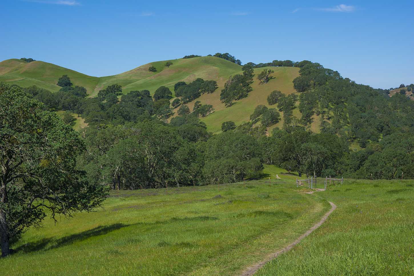 Diablo Foothills Regional Park