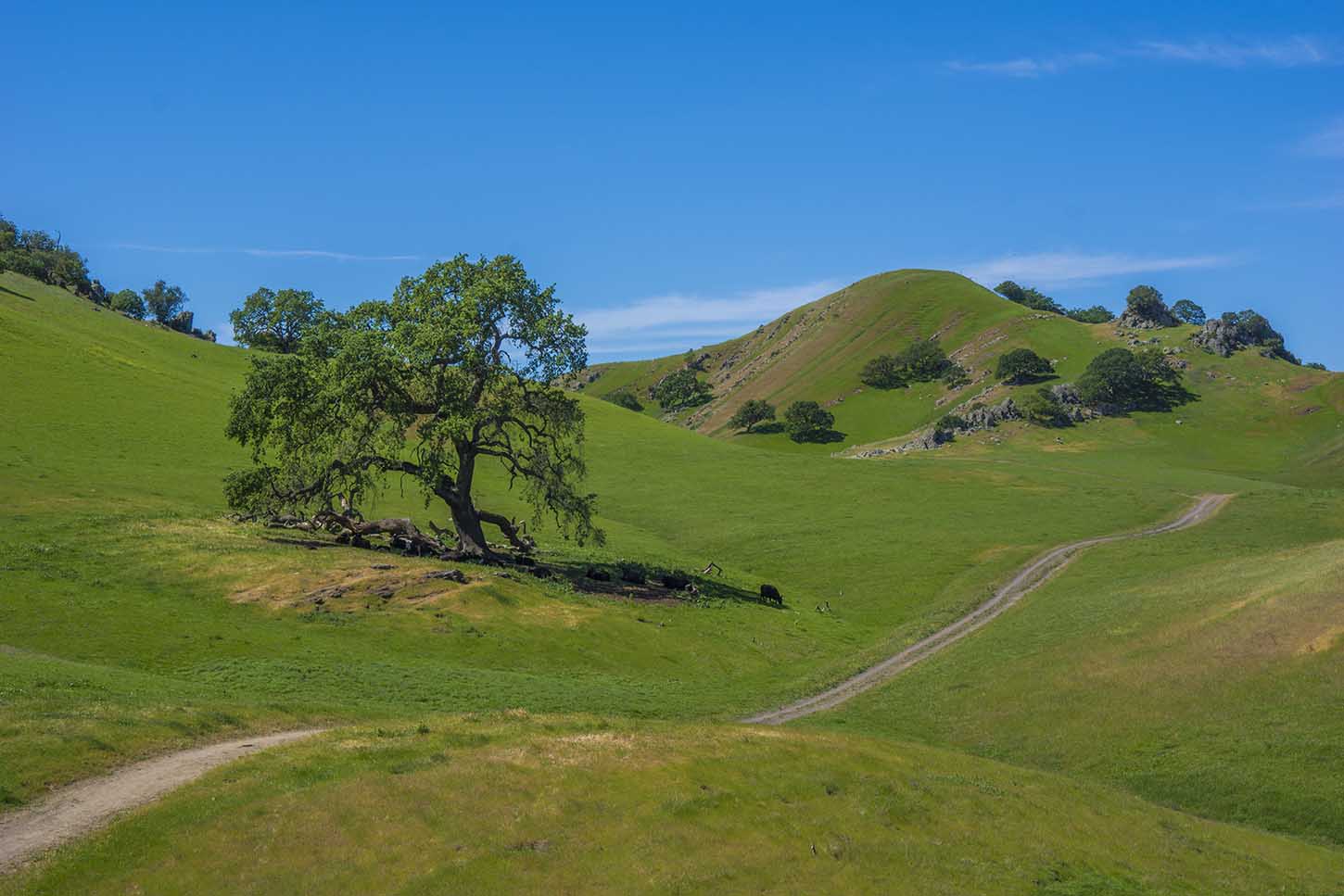 Diablo Foothills Regional Park