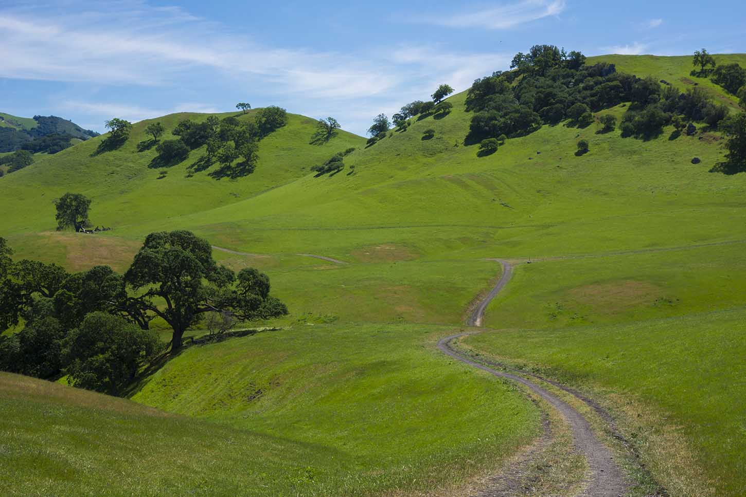 Diablo Foothills Regional Park