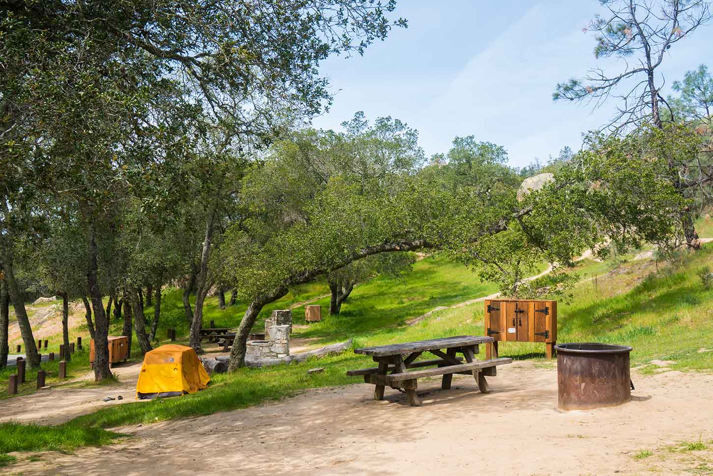 Live Oak Campground