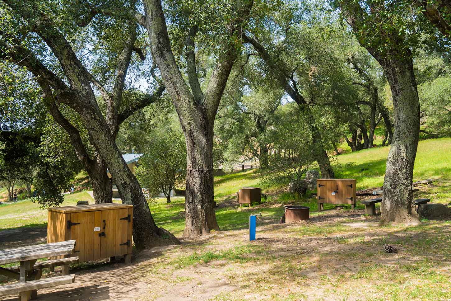 Live Oak Campground