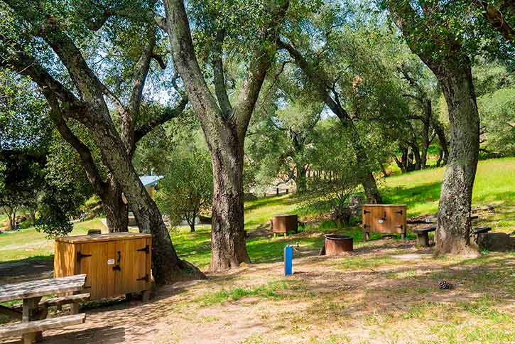 Live Oak Campground
