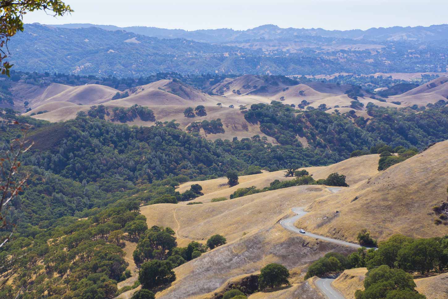 Mount Diablo State Park