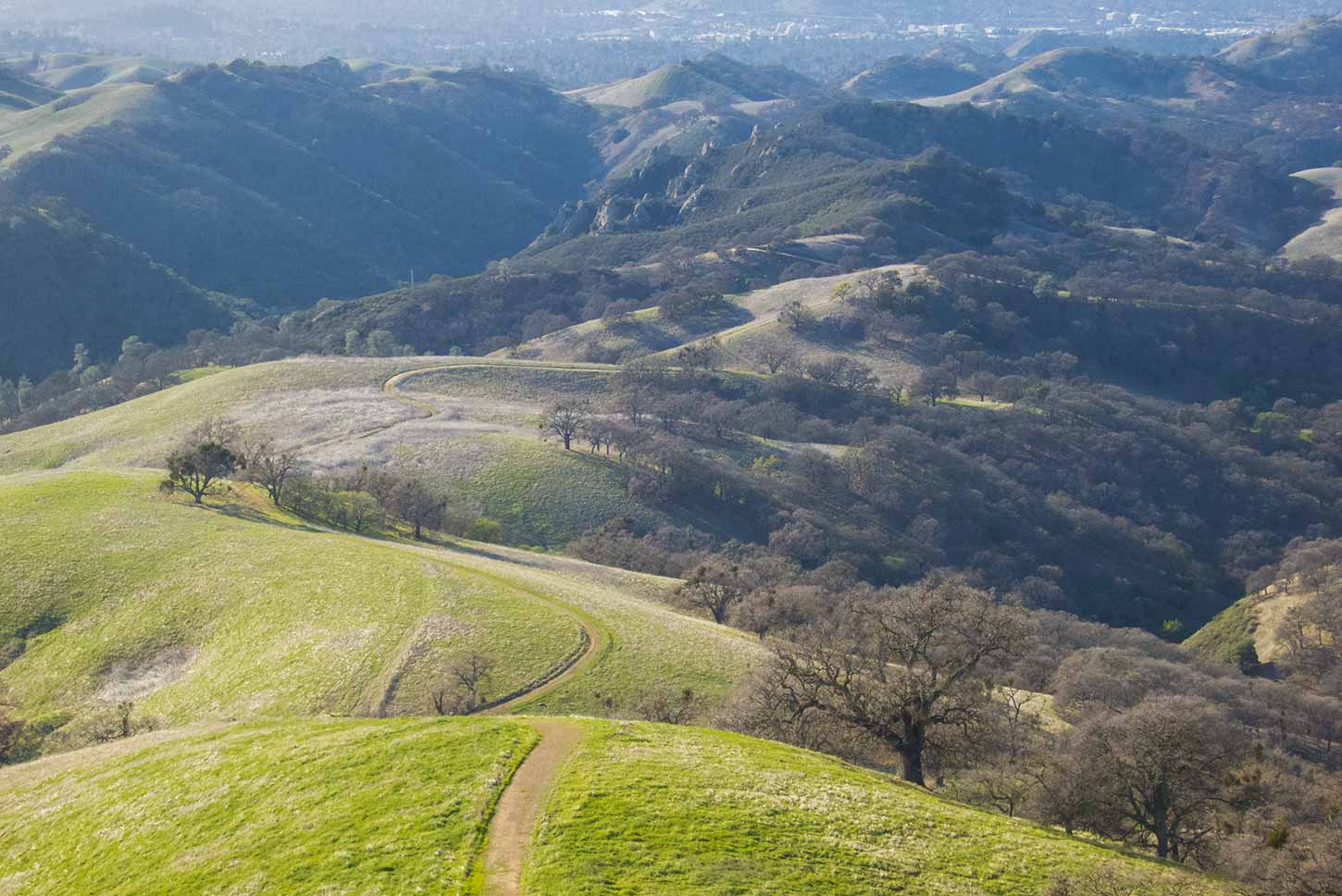 Mount Diablo State Park