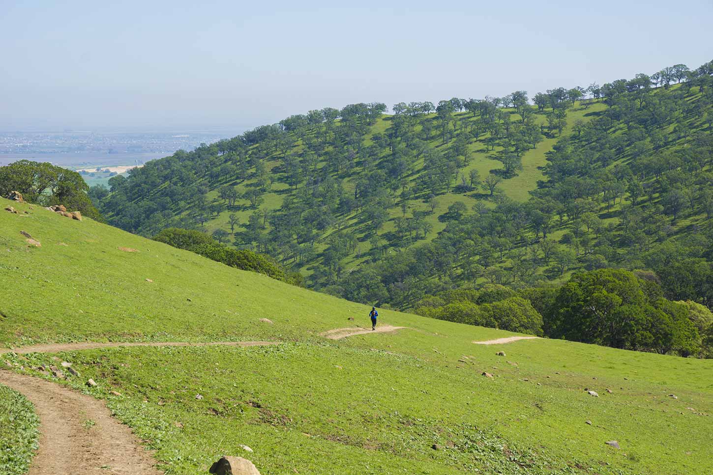 Round Valley Regional Preserve
