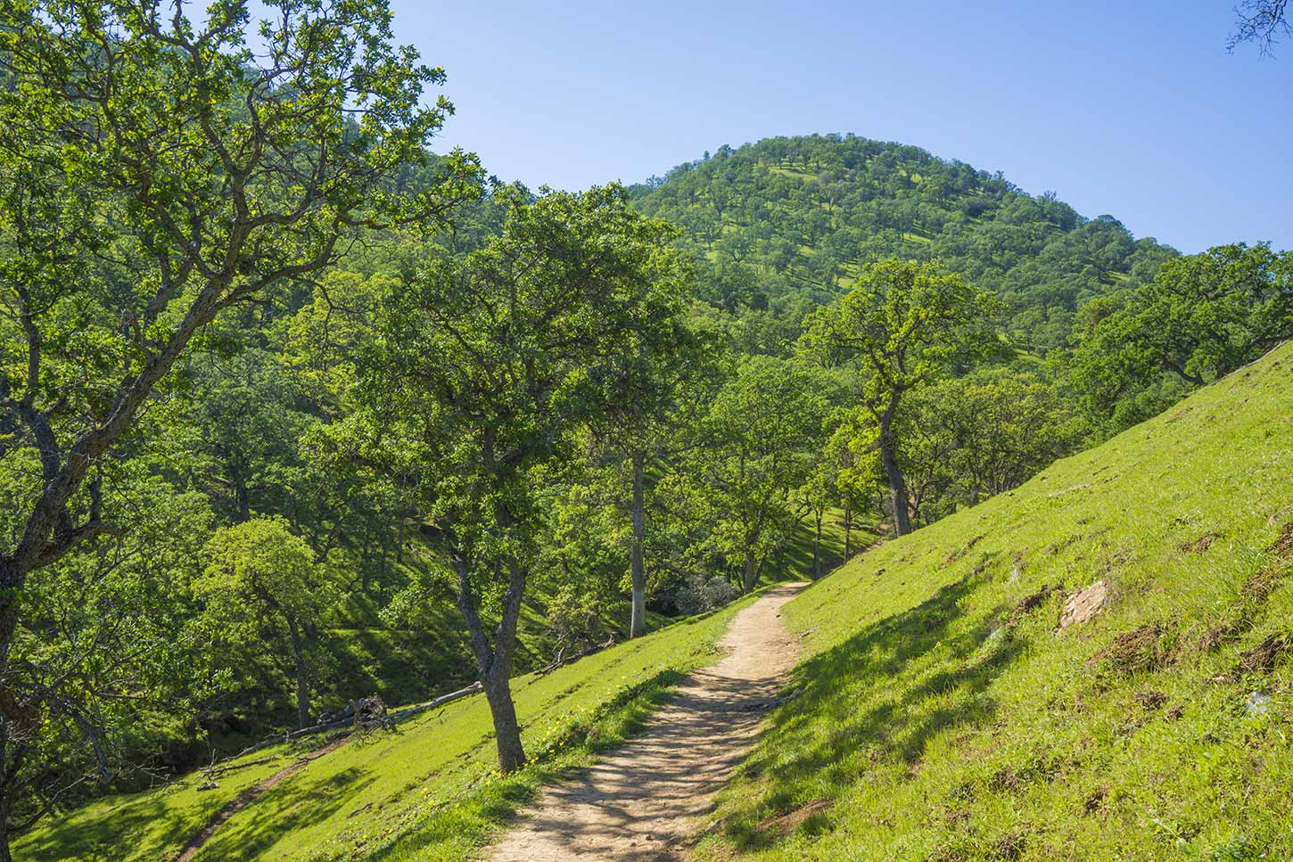Round Valley Regional Preserve